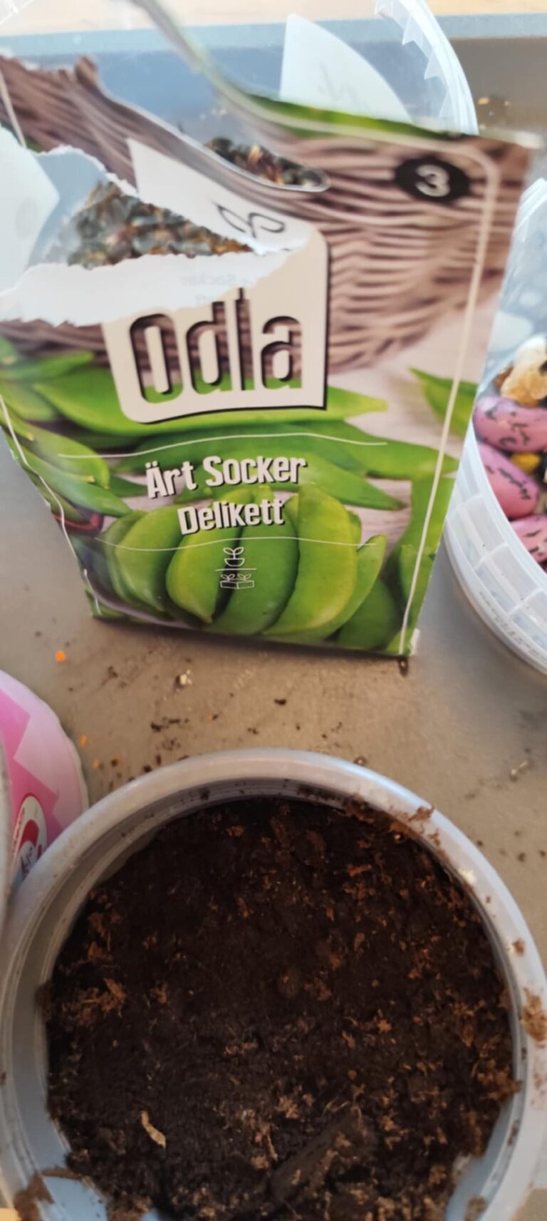Odla och undervisa - Tankar om Förskola